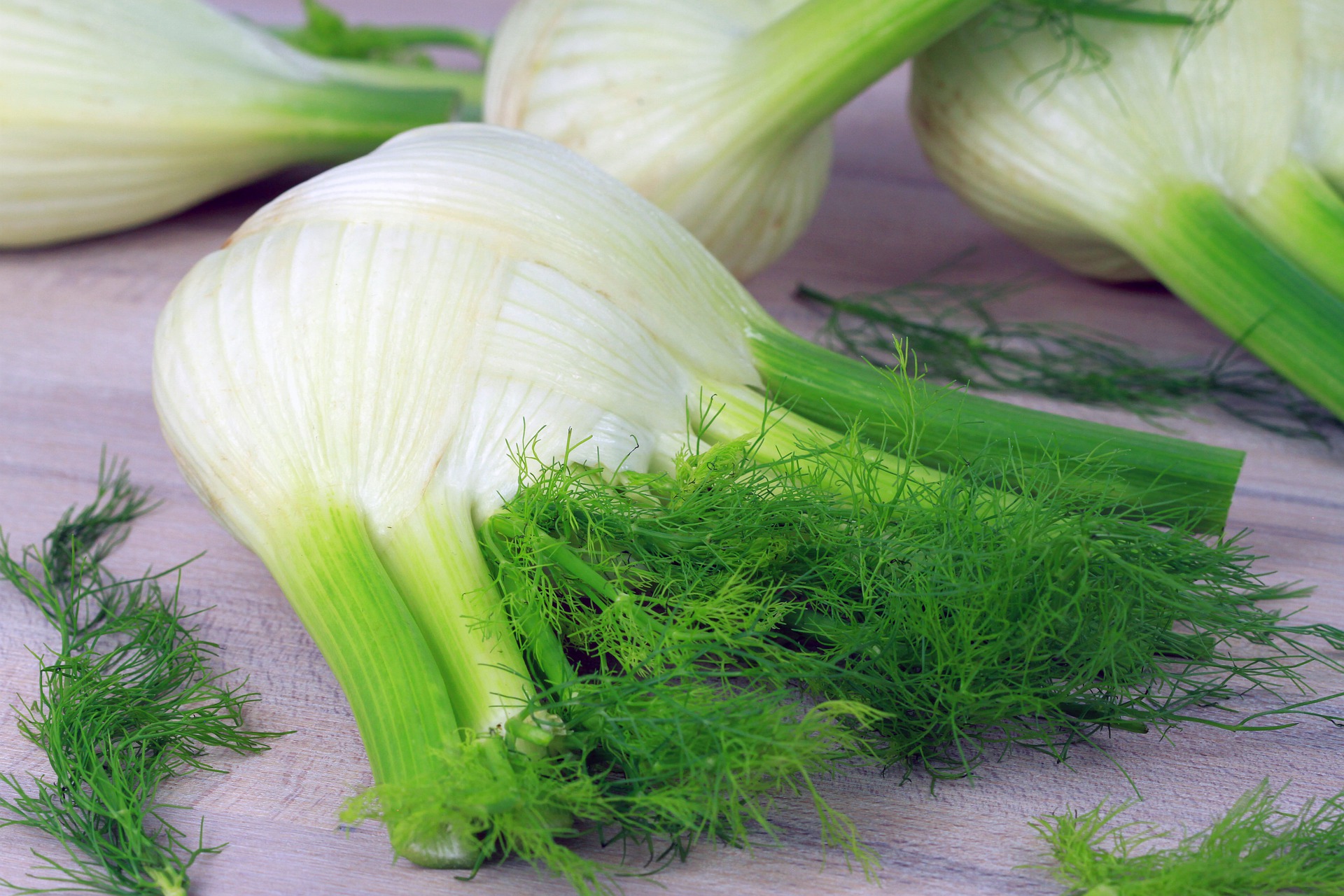 Saisongemüse: Fenchel - Ernährungsberatung Klammer