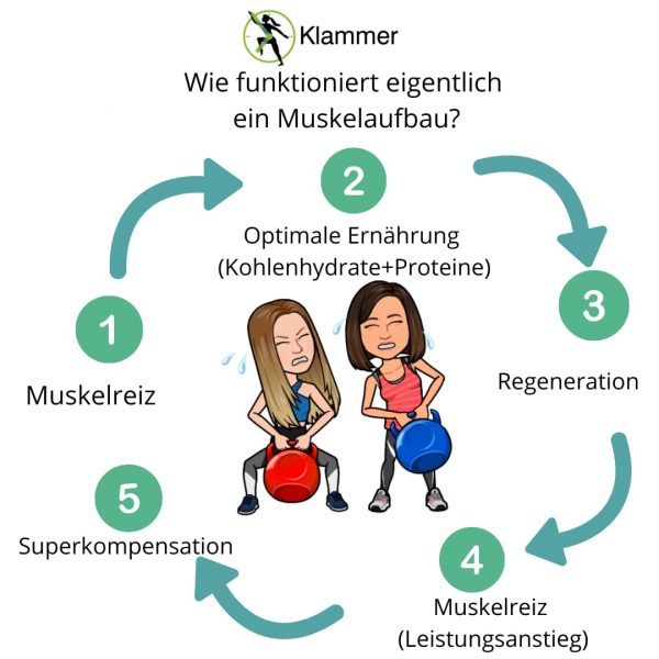Mit 4 Schritten zum Muskelaufbau - Ernährungsberatung Klammer Mit 4 Schritten zum Muskelaufbau - Ernährungsberatung Klammer